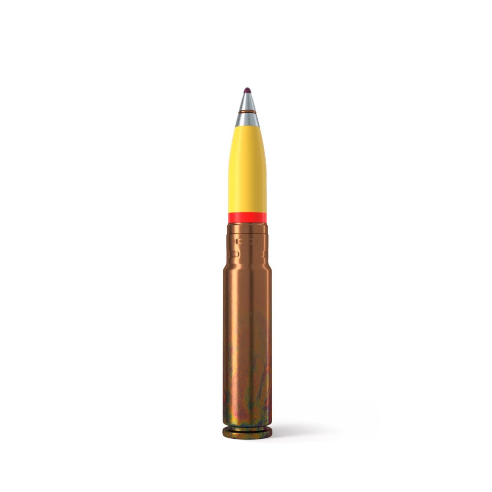 Ammunition 30x165 mm - STV GROUP